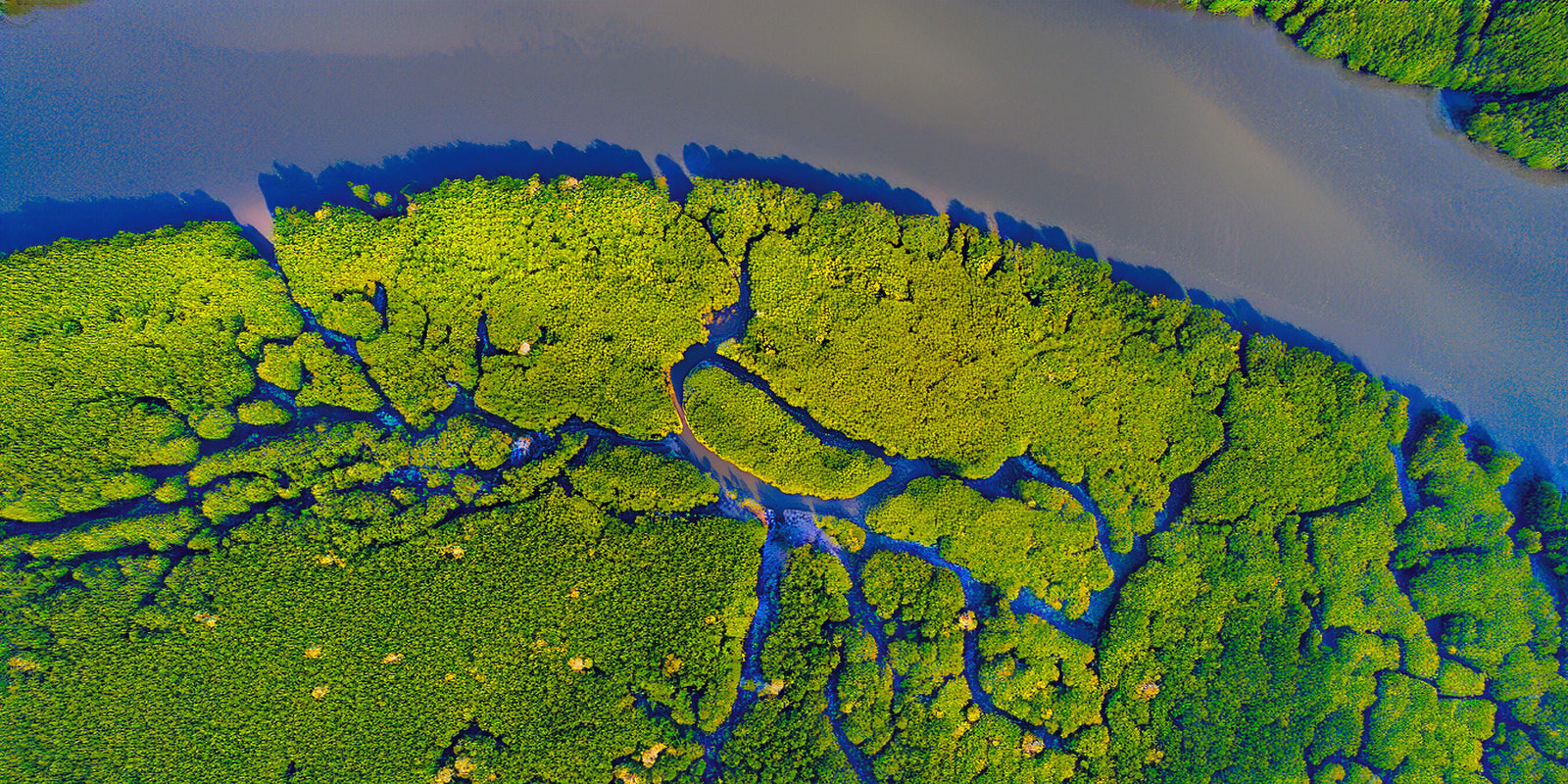 Inshore Fishing Rod Blanks for Rod Building – Page 2