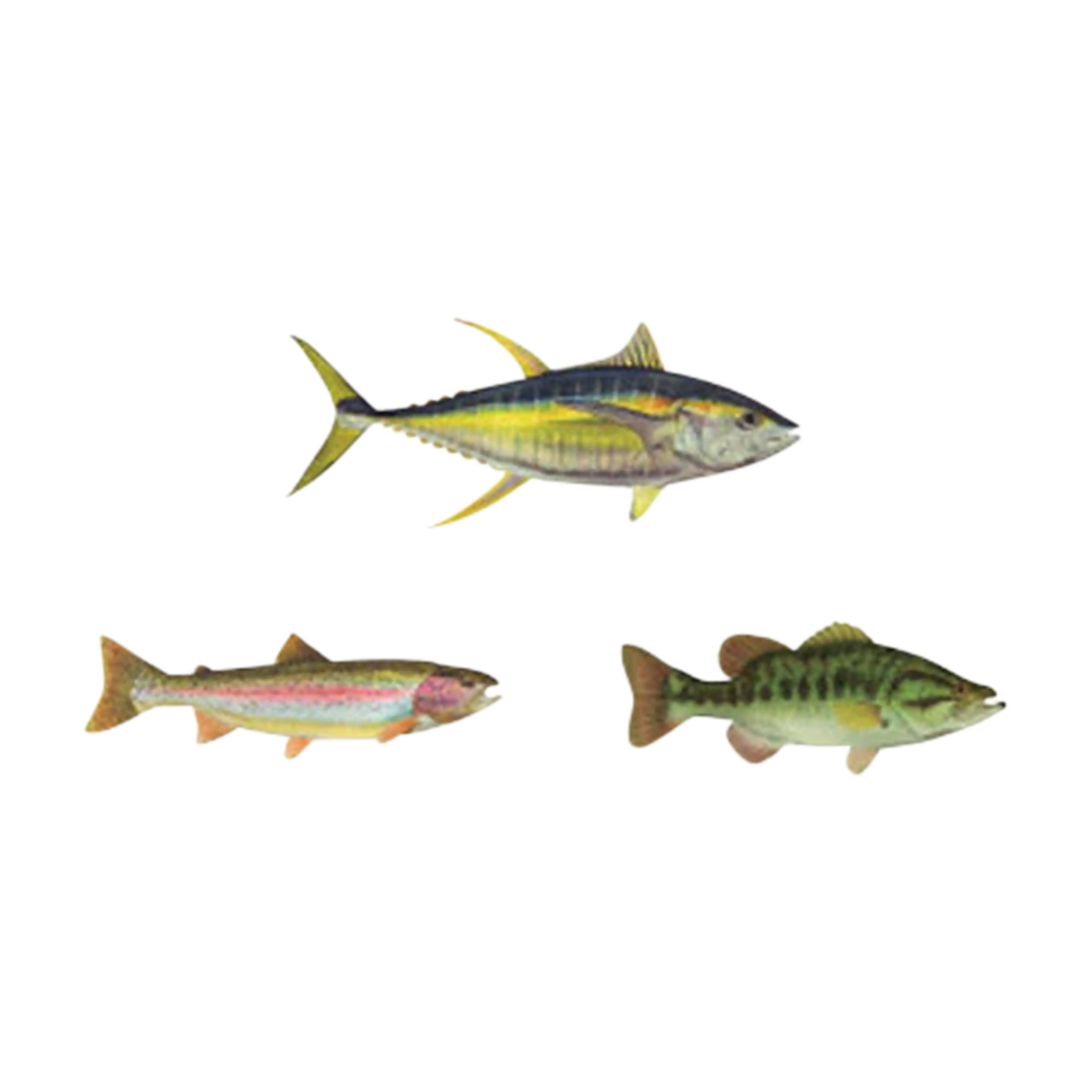 Mud Hole Game Fish Rod Decals