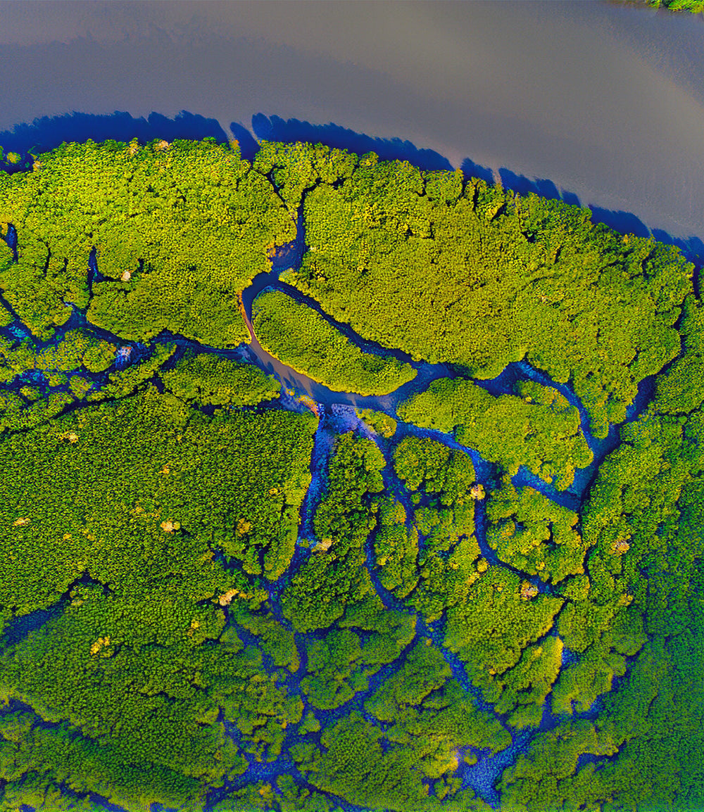 Saltwater Rod Blanks for Rod Building