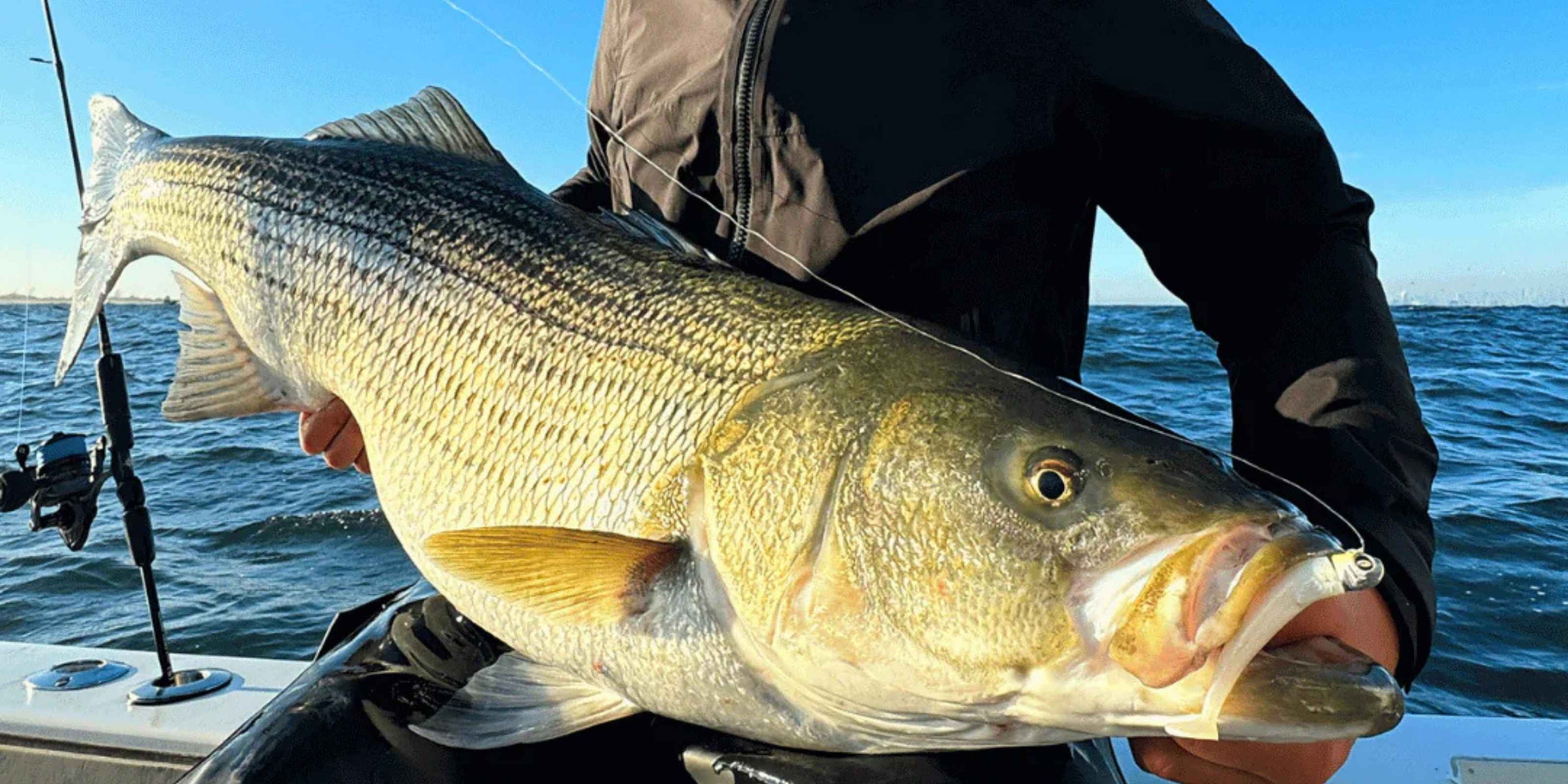 JYG Profishing – Jigging Rod Blanks, Jigs & Gear