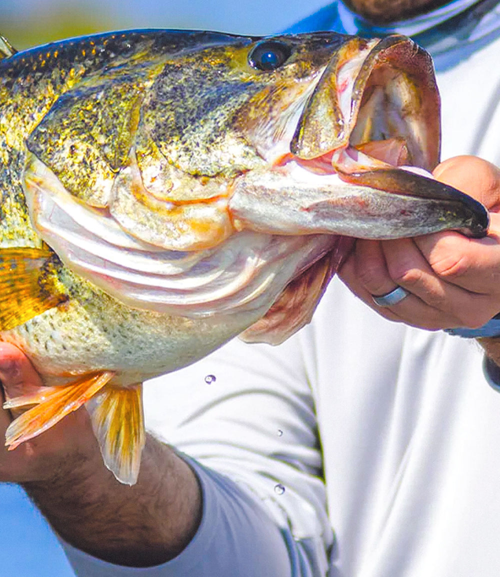 MHX Rod Blanks for Rod Building