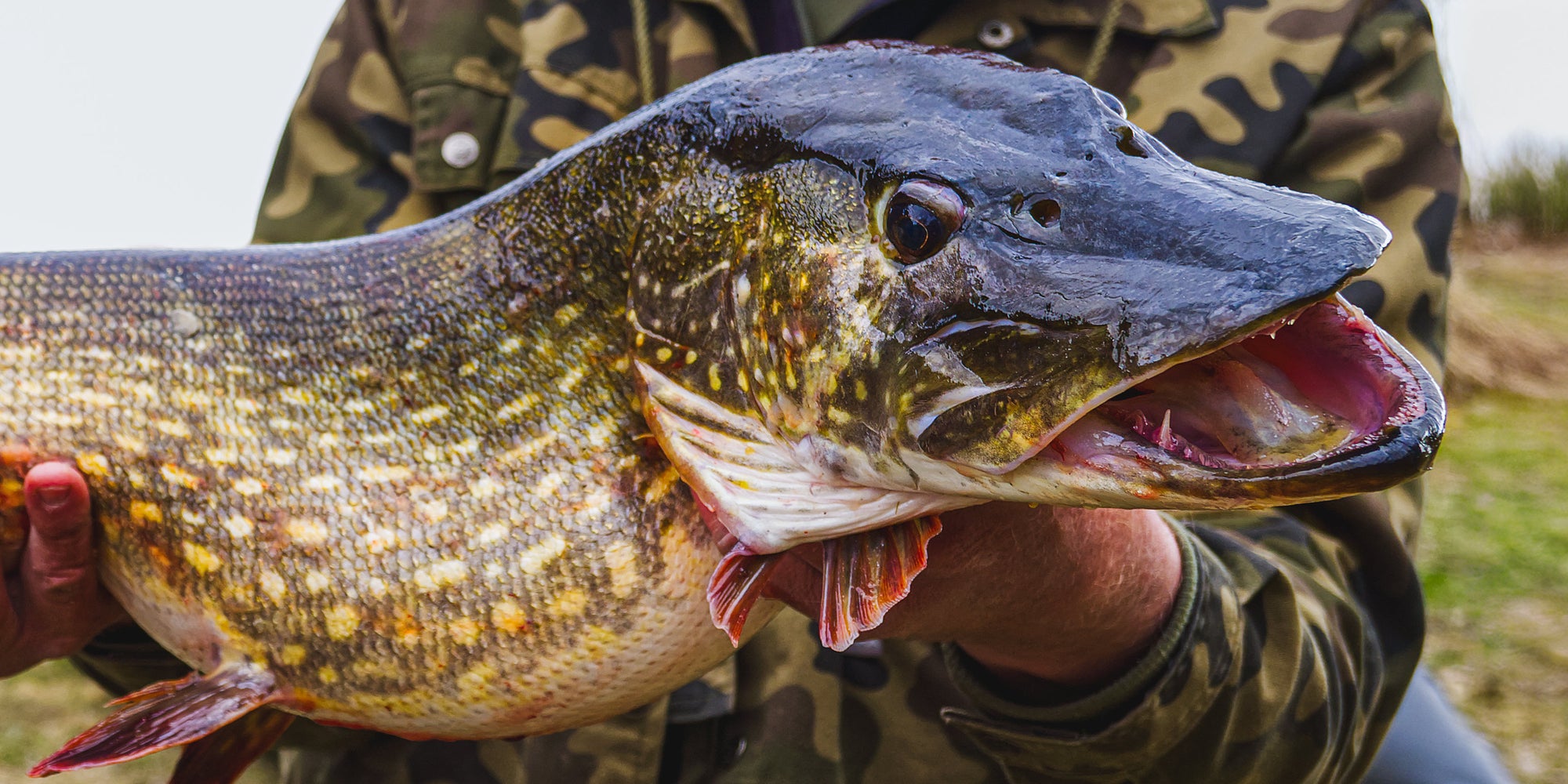 Musky & Pike Fishing Rod Blanks for Rod Building