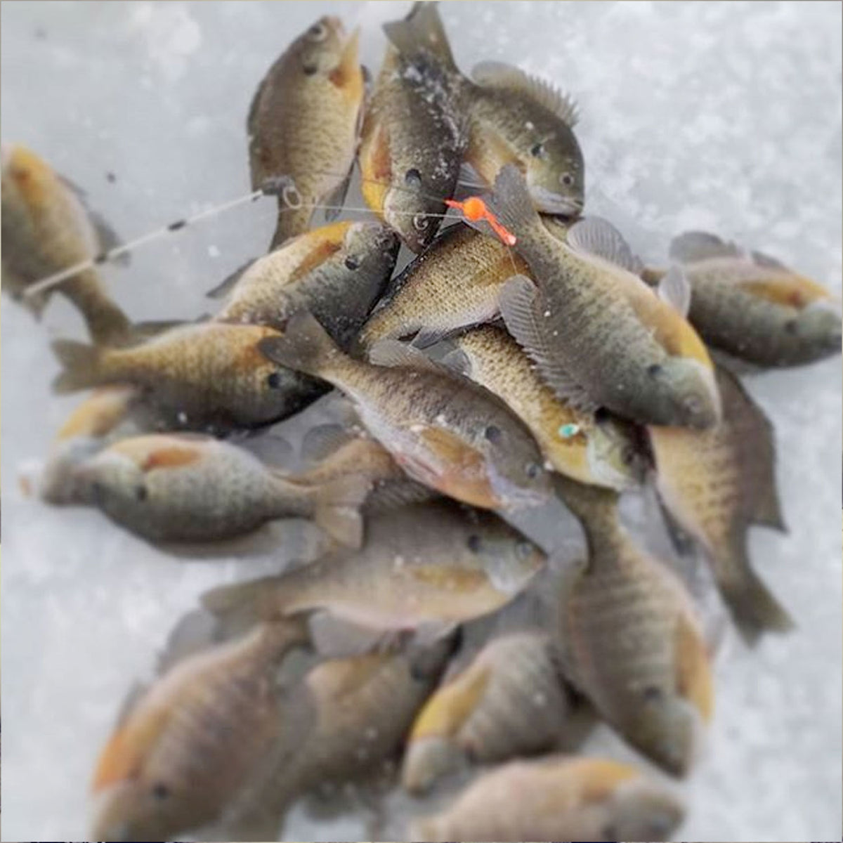 Ice Strong Titanium Spring Bobbers